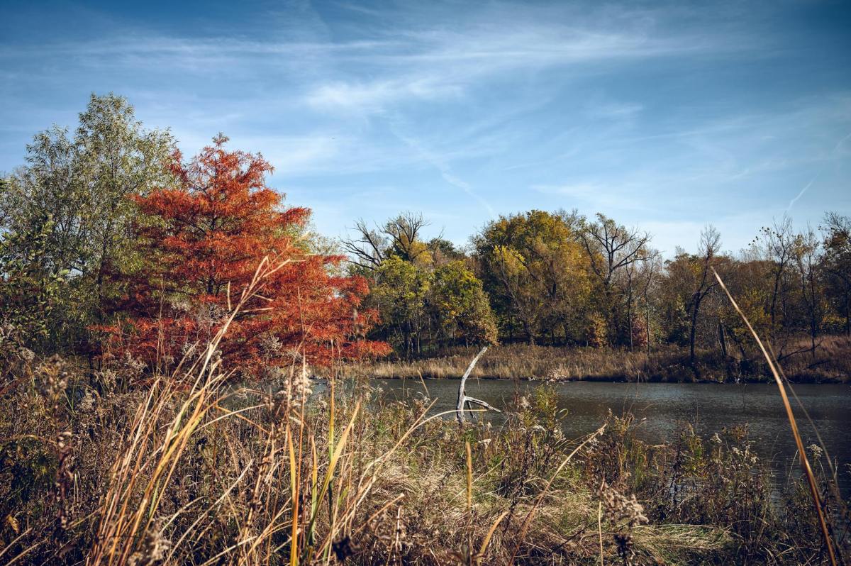 Get to Know November: Averages – Region Weather