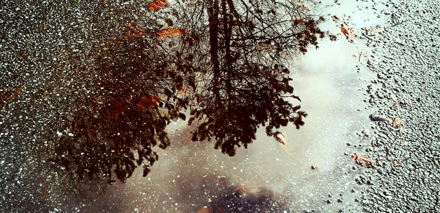 Gross, Cold Rain Today – Region Weather