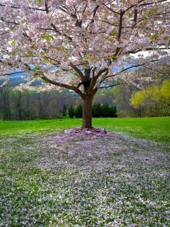 Happy Meteorological Spring! Let’s look at the numbers in March ...